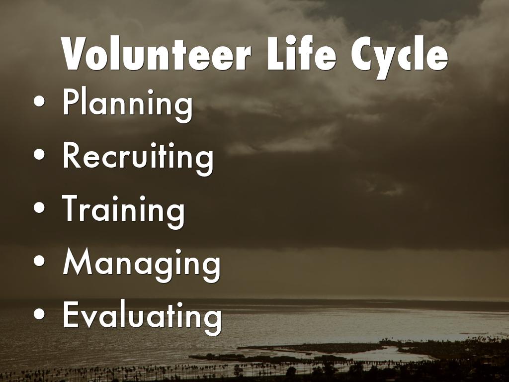 Volunteer Excellence by Lowell Aplebaum