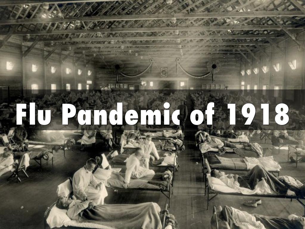 Flu Pandemics in the World by Ryuto T