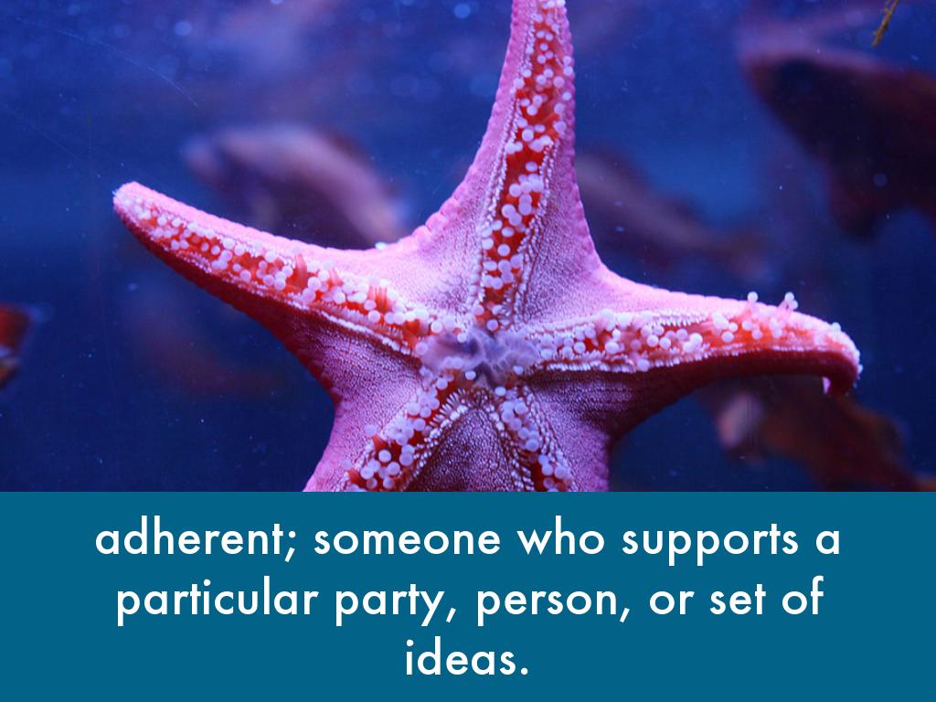 Copy of Religion by Rachel Shamblott