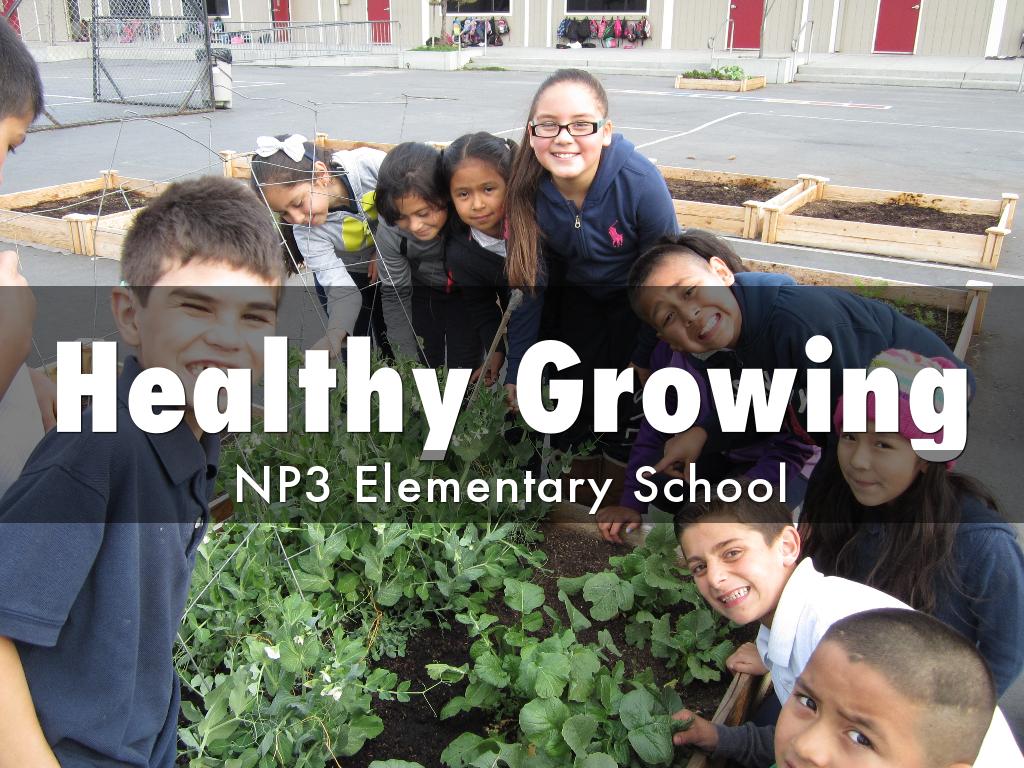 NP3 Elementary School Healthy Growing by Bryan Jersky