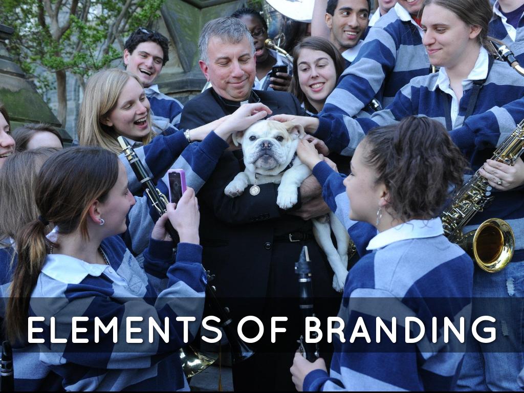 BRANDING by Jordan Bolte