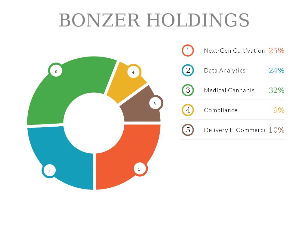 bonzer holdings by Sean Lyle