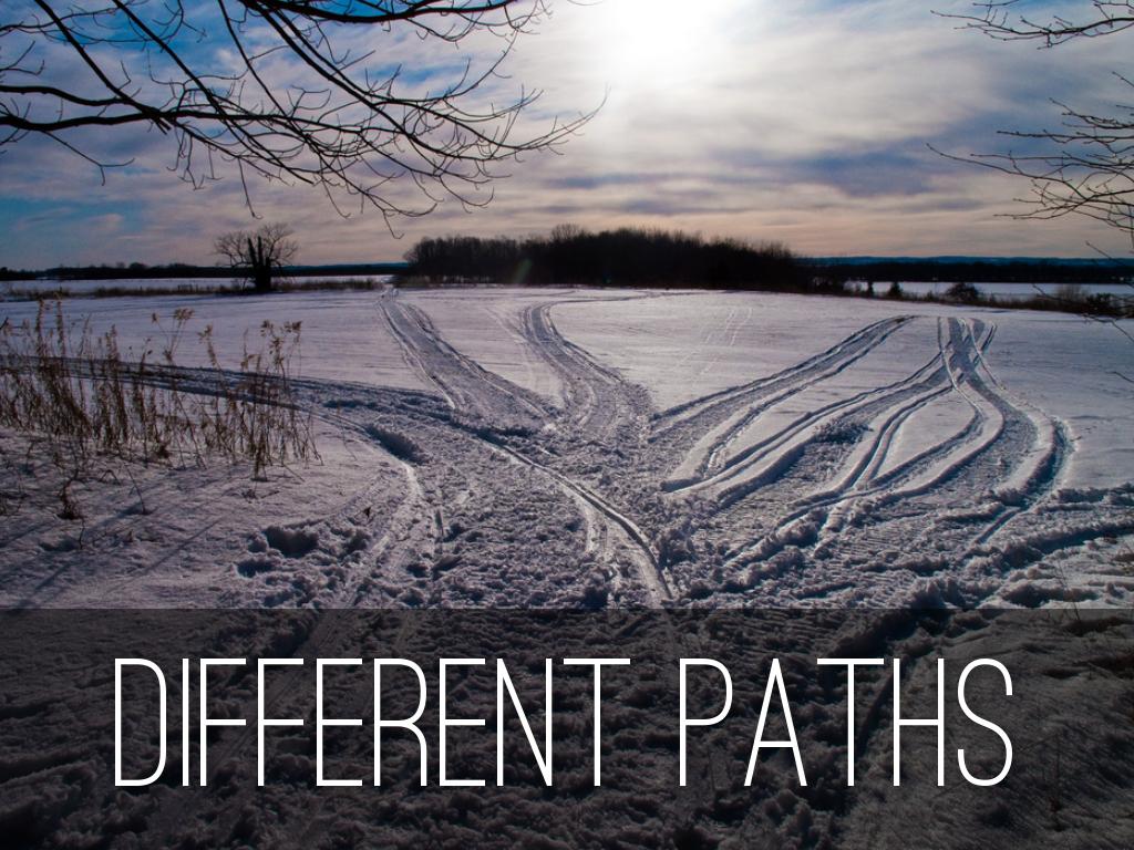 Different Paths by scott crawford