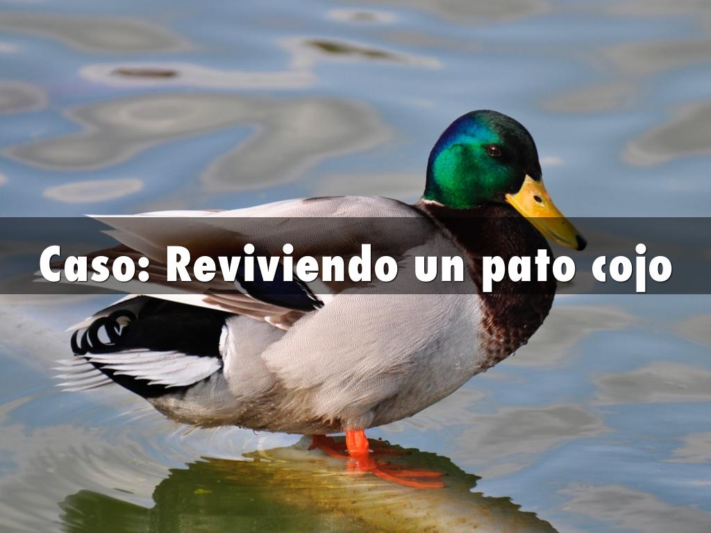 Caso: Reviviendo un pato cojo by mfjaramillo