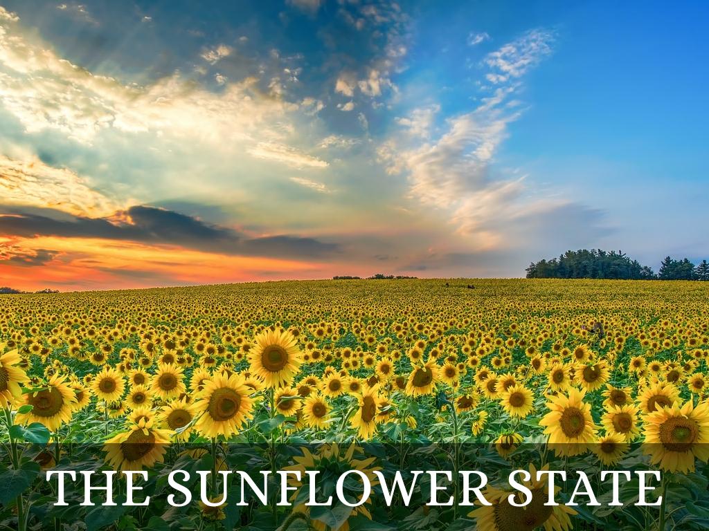 All About Kansas by jschmuhl
