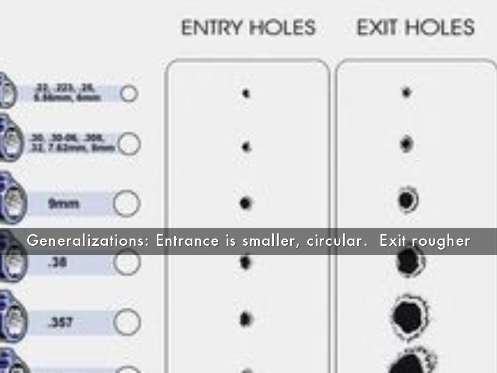 Firearms by shlautzenheiser