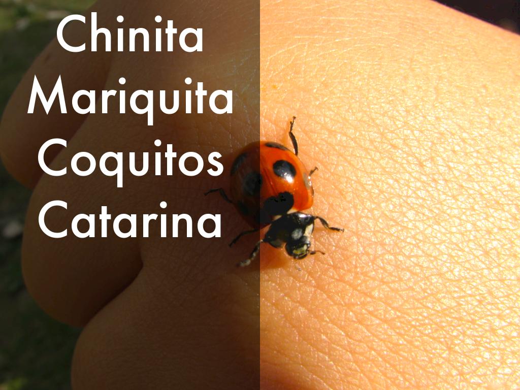 Las Chinitas By Leo Medina 