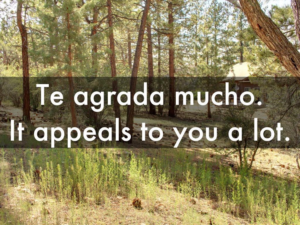 M39-4 Grammar by Raili Siiri