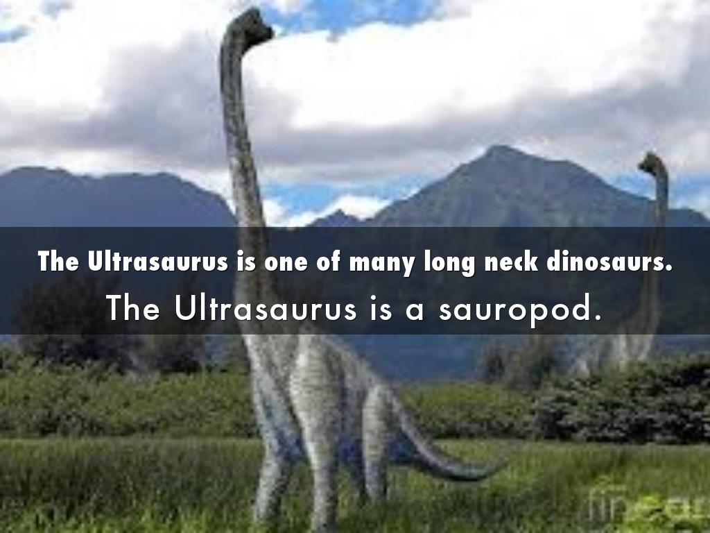 Ultrasaurus by Marie Arhontas