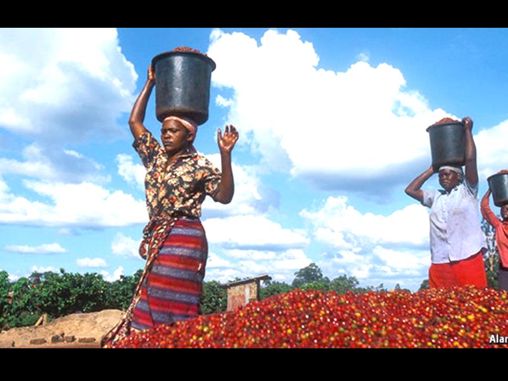 Imperialismi, orjuus by P H