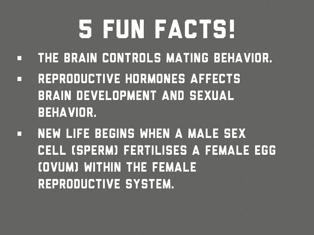 Fun Facts About Reproductive System Departurebaby Fun Facts About Reproductive System Departurebaby