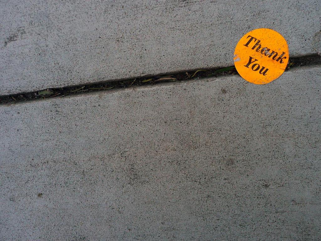 BRANDING by Jordan Bolte