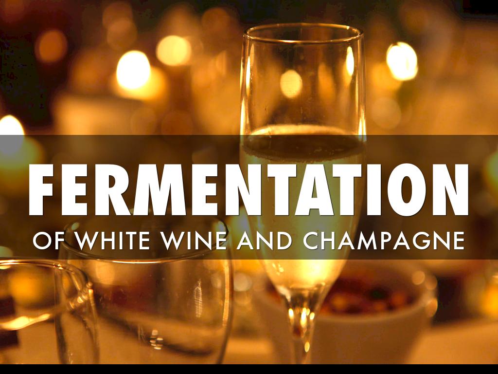 White Wine Fermentation