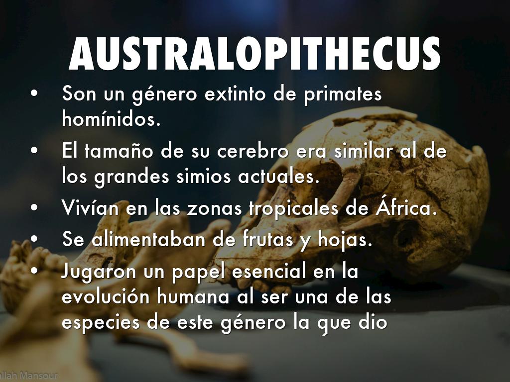 🌸Historia🌸 by Valeria 6º :v