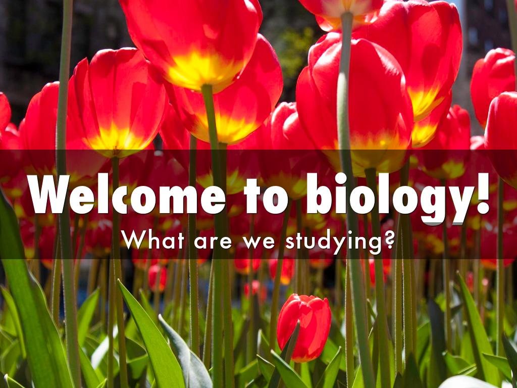 Welcome to biology! by Lena Welch