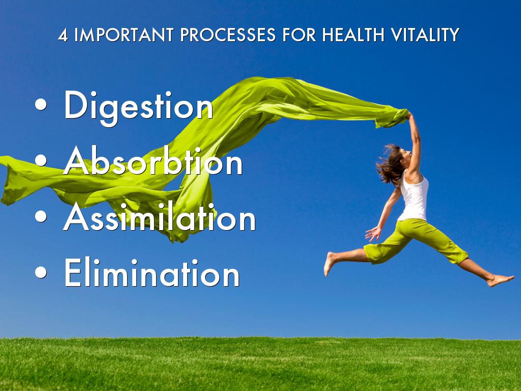 Nutrition For Vibrant Health by Katherine Mirra
