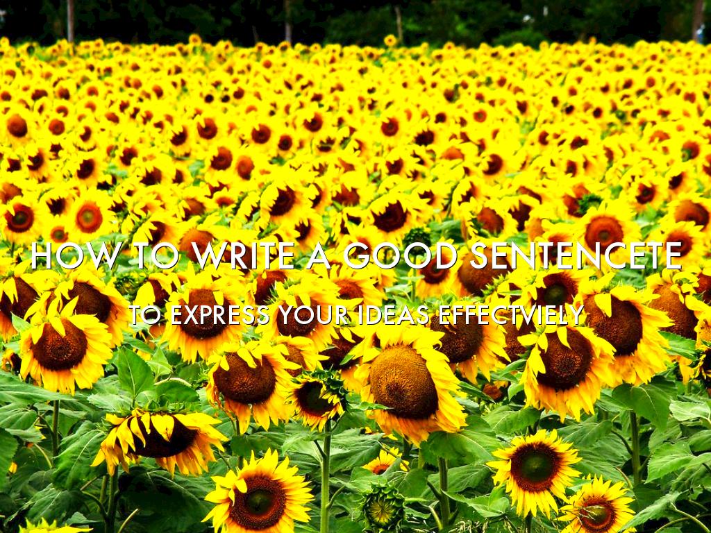 How To Write A Good Sentence By Xiaoxia Hao How To Write A Good Sentence By Xiaoxia Hao