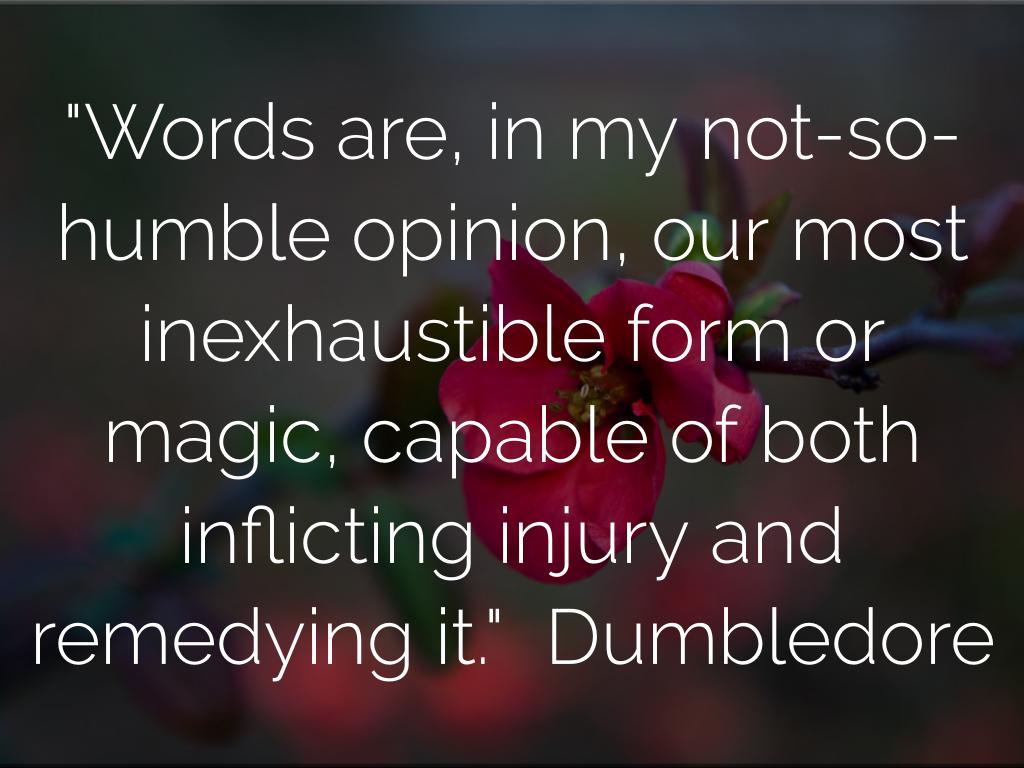 "Words are, in my not-so-humble opinion, our most