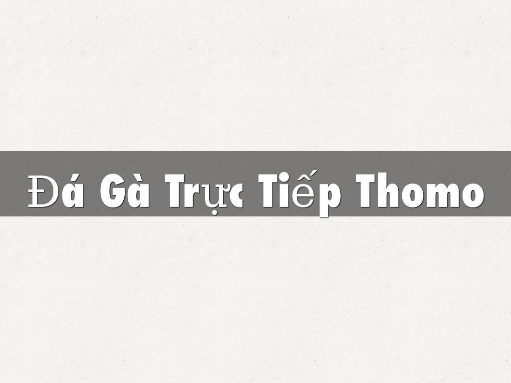Đá Gà Trực Tiếp Thomo by granados8018821