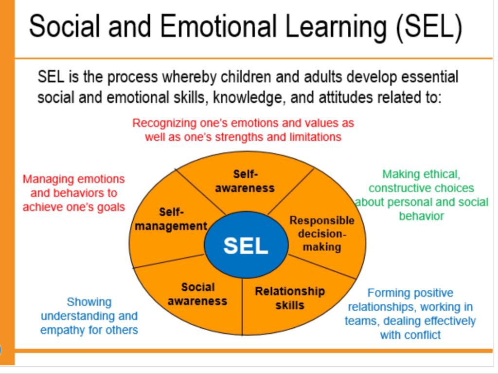 SOCIAL EMOTIONAL LEARNING by Amy Bohm