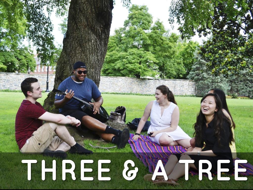 BRANDING by Jordan Bolte