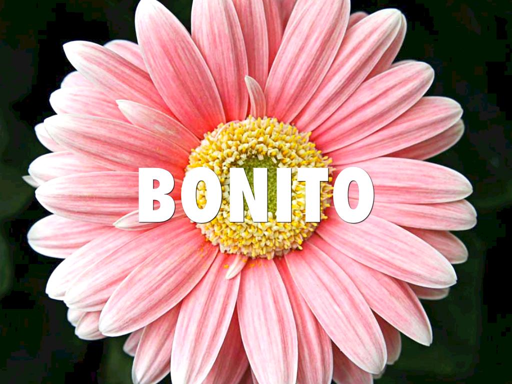 Spanish Words By Josi Fiterman spanish-words-by-josi-fiterman
