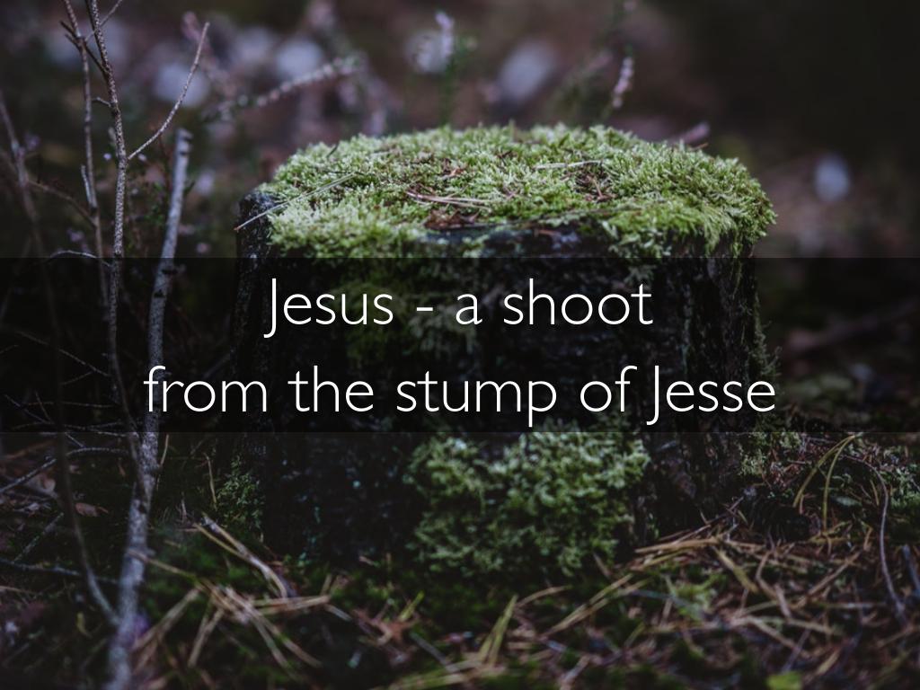 David: God's King and Kingdom by Diana batarseh