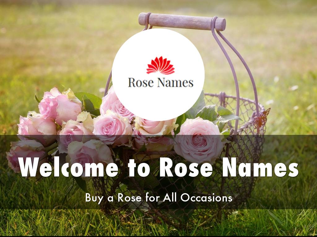 Rose Names Presentation by Elanie Ailsa