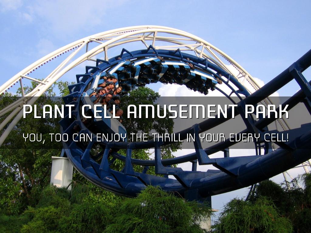 Summer School Bio Project by Farnaz Majdi