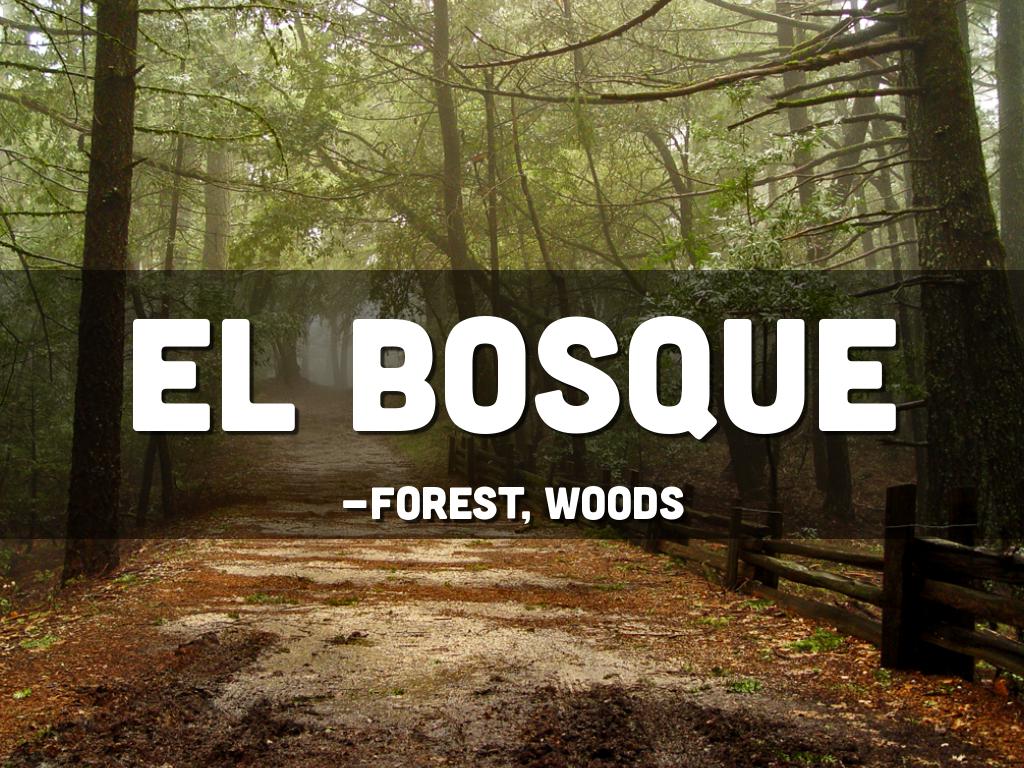 Unidad 1, Leccion 1 vocabulary - Spanish 3 by Kasey