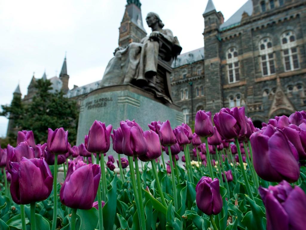 BRANDING by Jordan Bolte