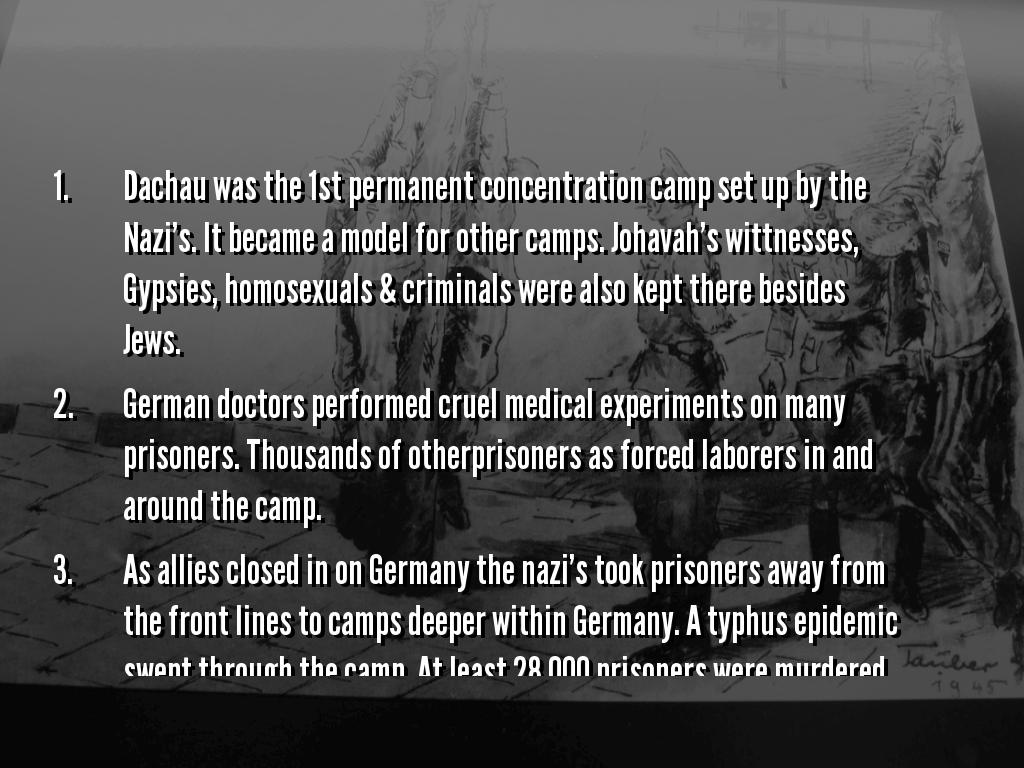 Holocaust by Angelina Cantu