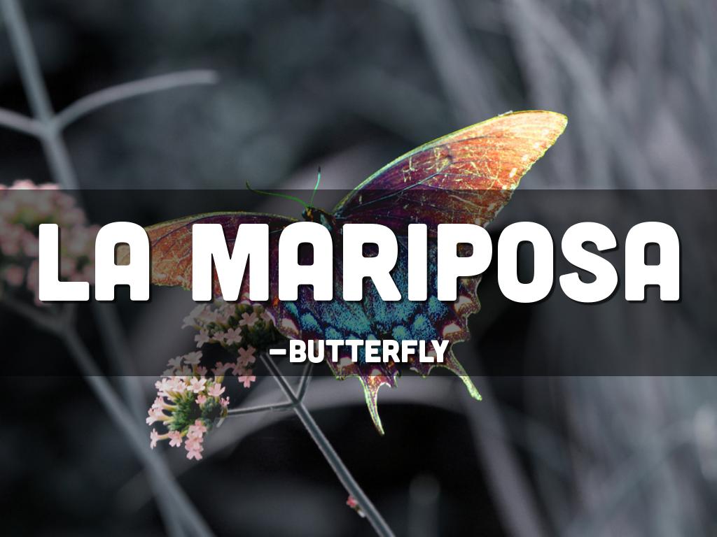 Unidad 1, Leccion 1 vocabulary - Spanish 3 by Kasey