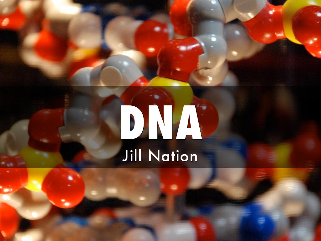 Presentations and Templates by Jill Nation