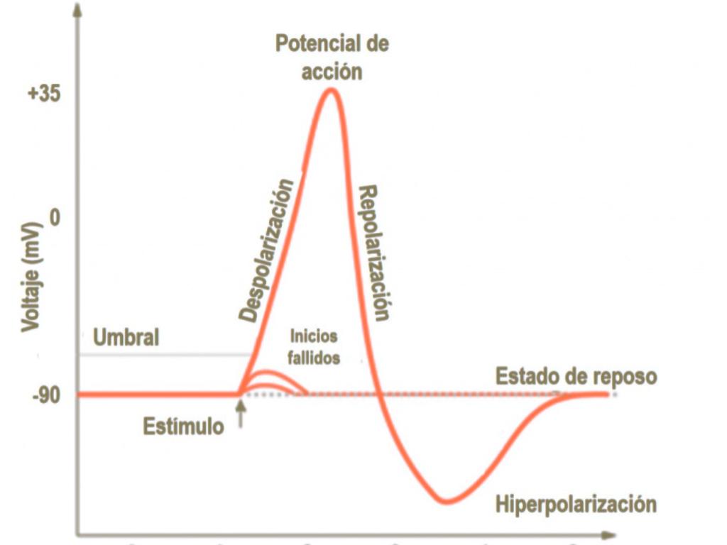 Untitled Haiku Deck by Omar Gómez Cruz