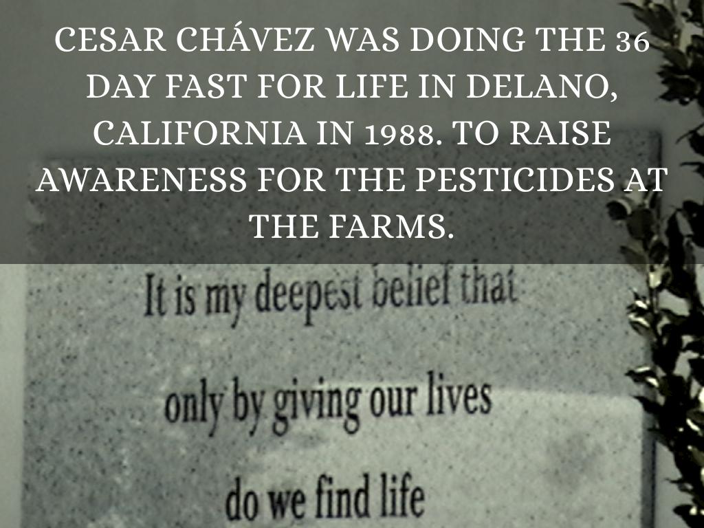 Ceaser Chávez by Autumn G