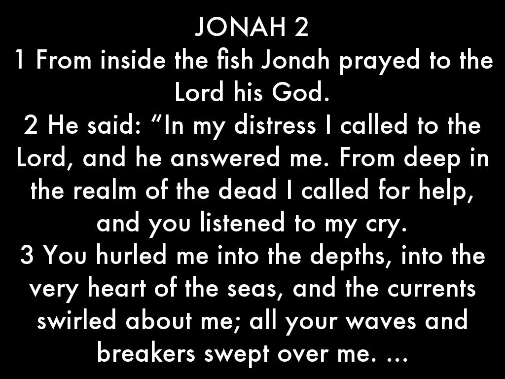 Jonah: The pattern of Love and Grace by Mark Brouwer