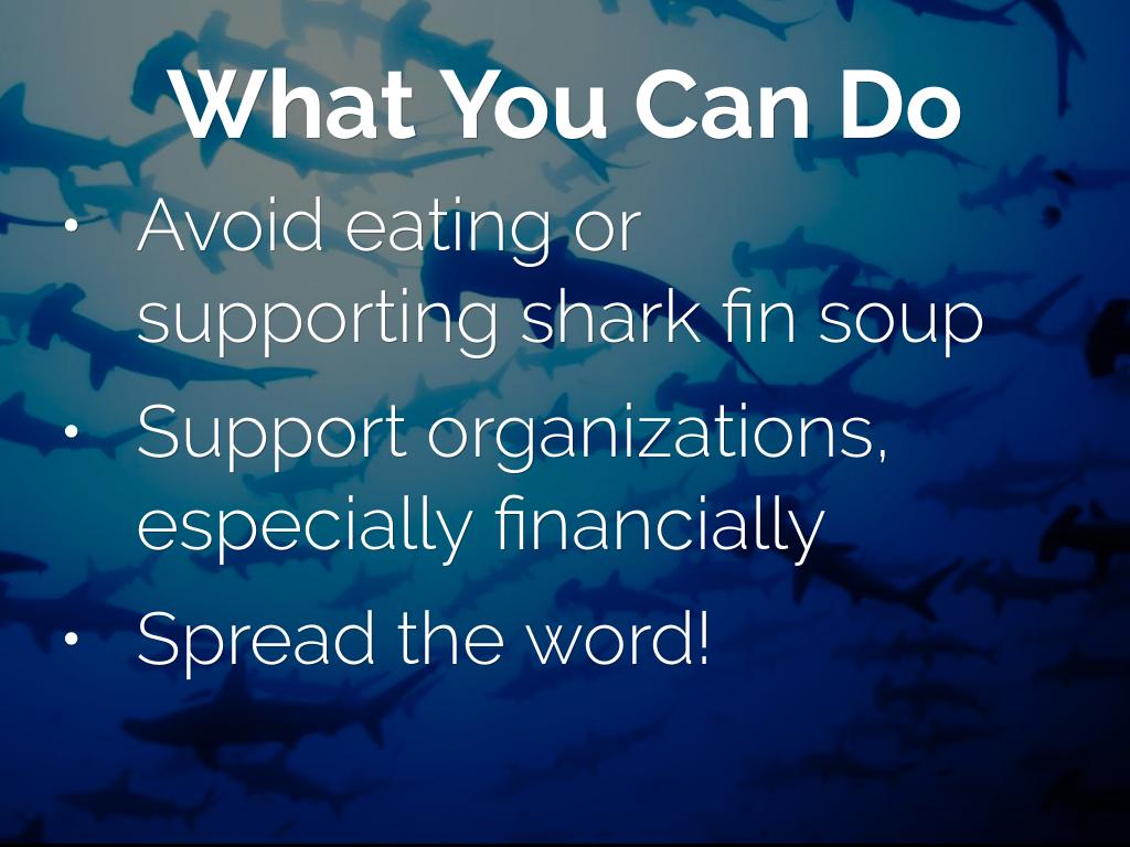 Shark Finning by Jessica Sok