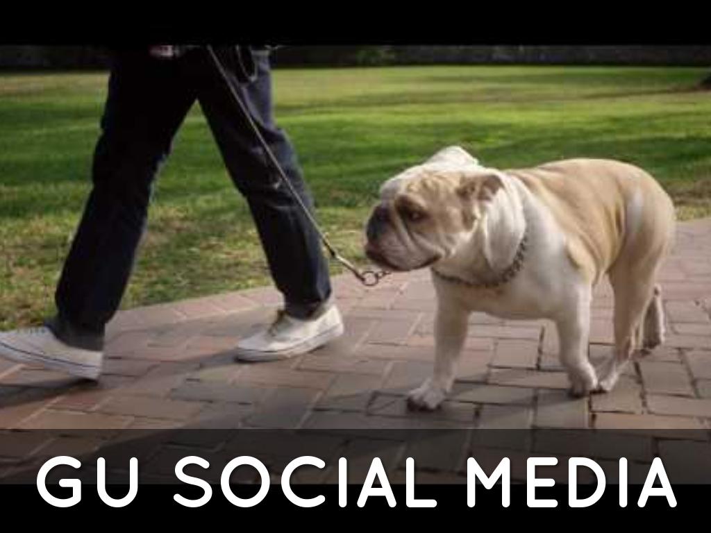 BRANDING by Jordan Bolte