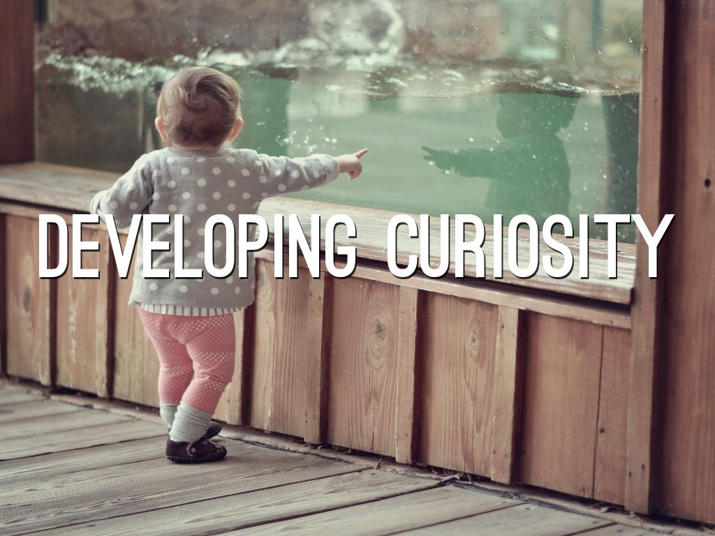 Facilitating Curiosity by Jen Baker
