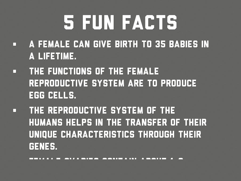 Fun Facts About Reproductive System Departurebaby Fun Facts About Reproductive System Departurebaby