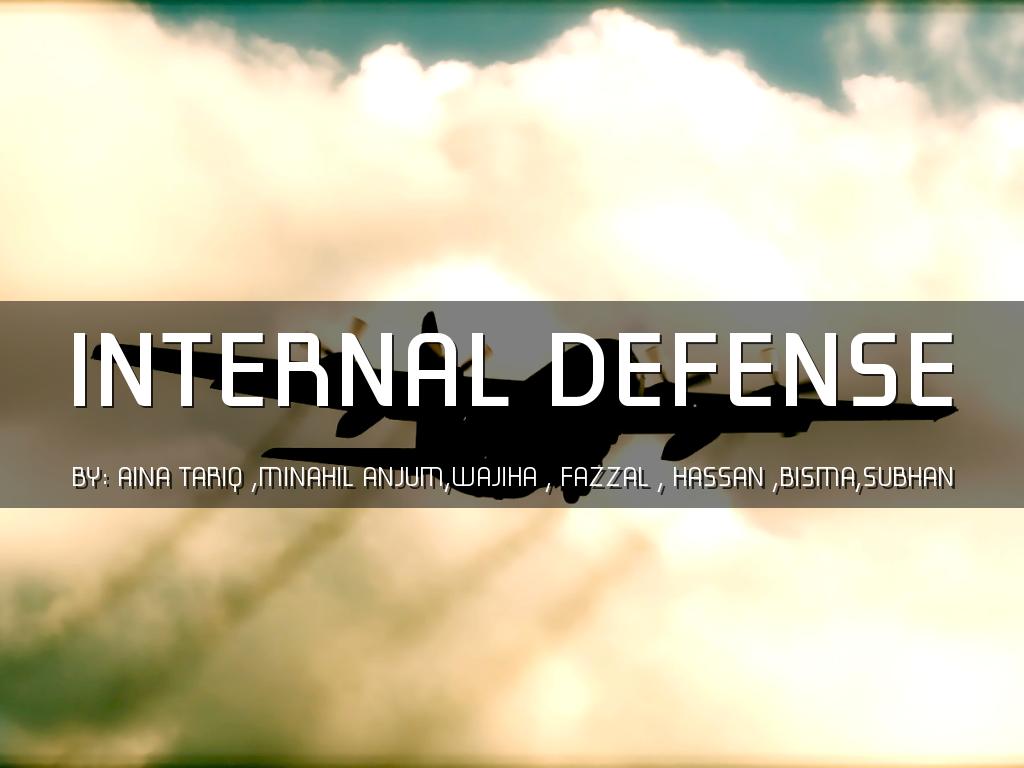 INTERNAL DEFENSE by qmia810