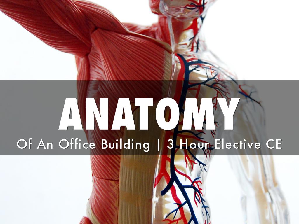 Anatomy Of An Office Building by Scott Siegel