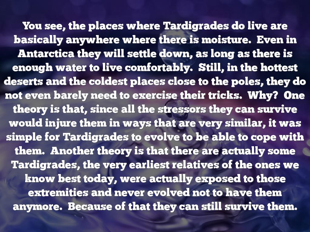 Tardigrades by gavinbenitezgay