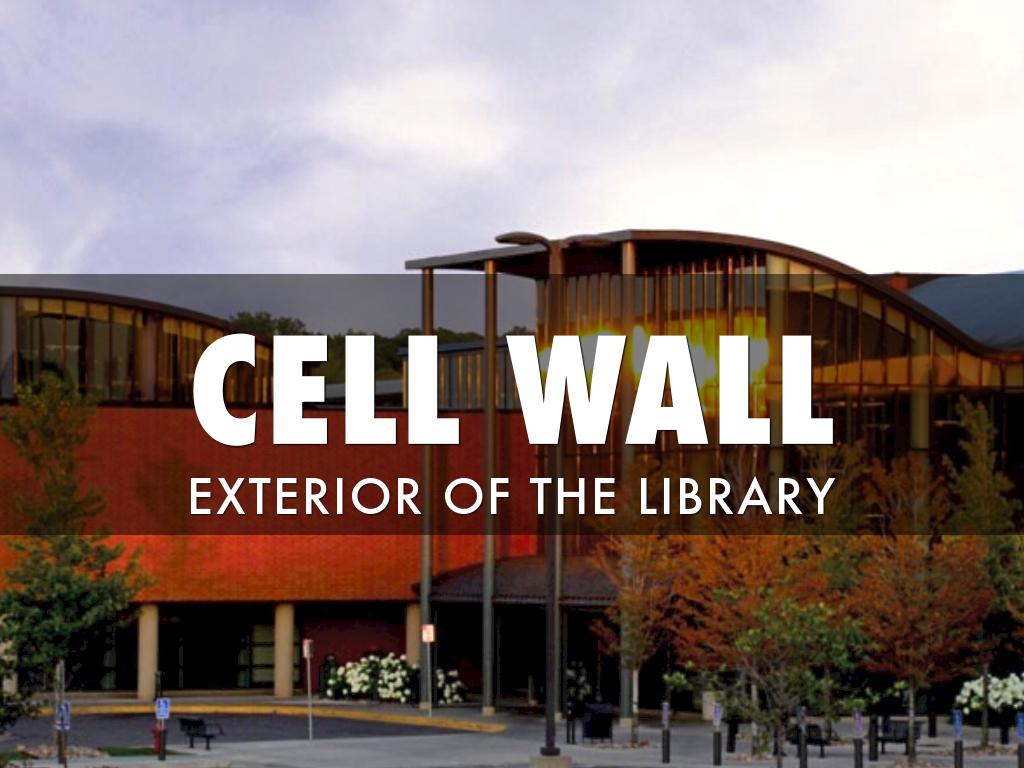 Cell Analogy by Israh Ugas