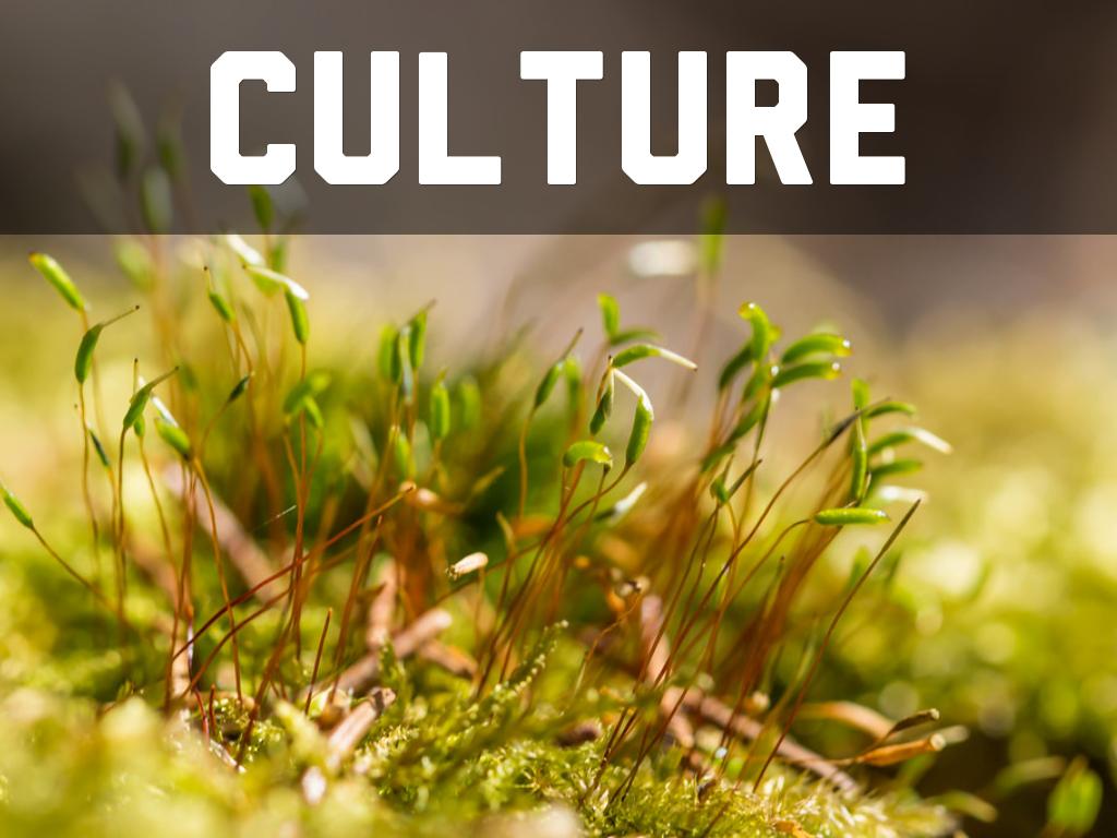 JASS NOW by Graham Whisen