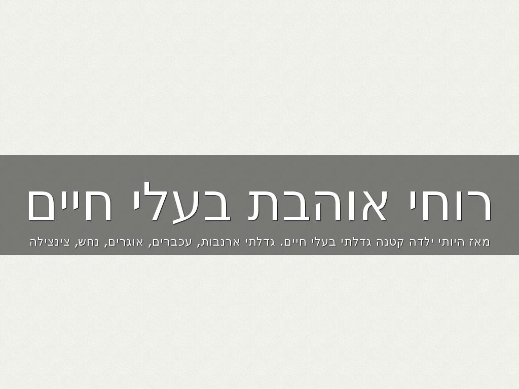 בעלי חיים by Rachel Fish