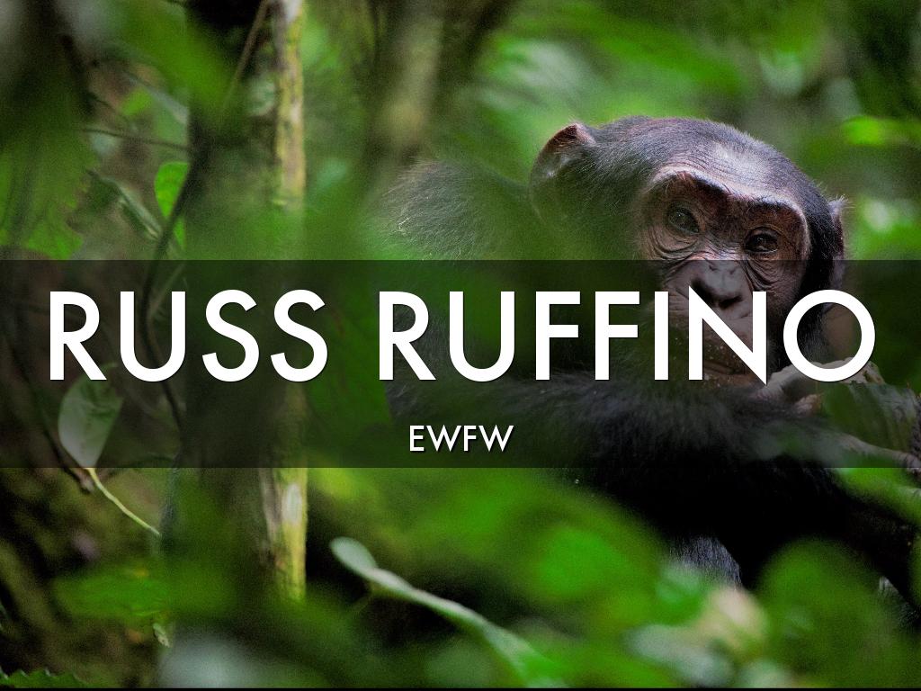 MY PROMISE TO YOU... by Russell Ruffino