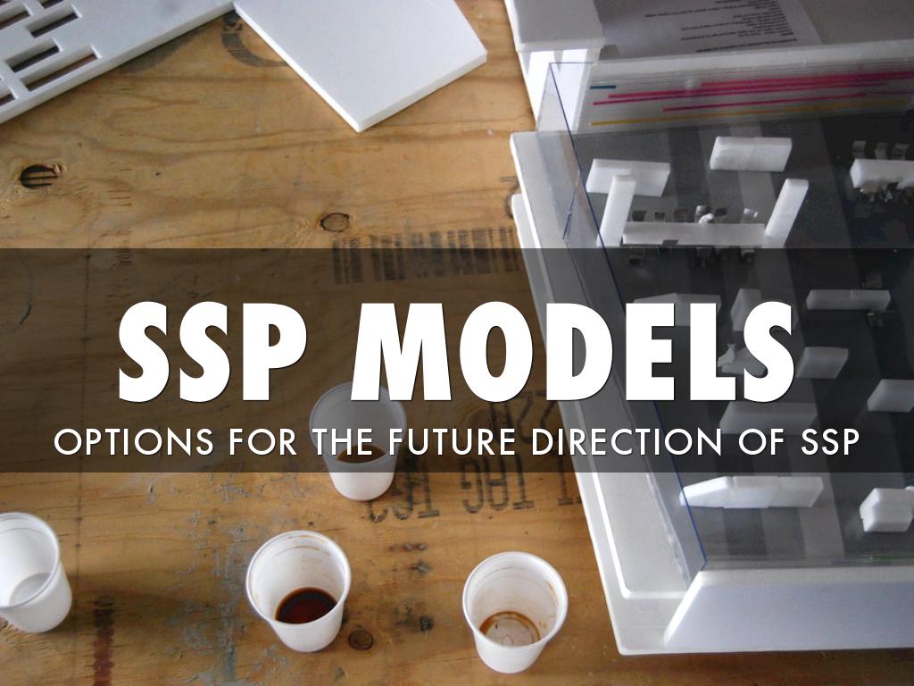 SSP STRATEGY DISCUSSION by Agnes Sibanda