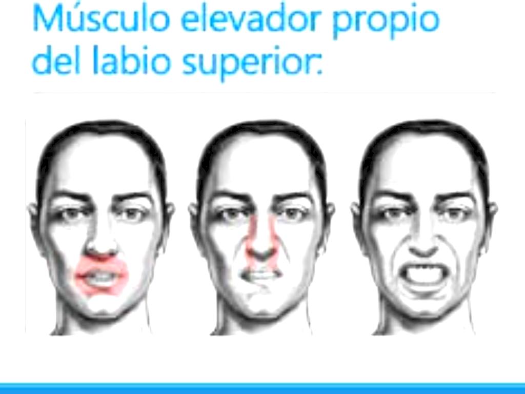 TRABAJO DE BELLAS by brigney_robles16